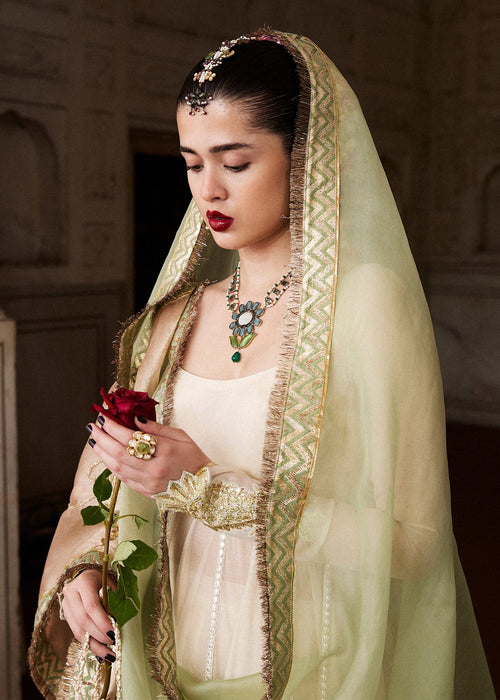 Hussain Rehar Global